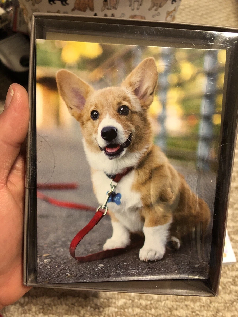 Corgi Puppy Thank You