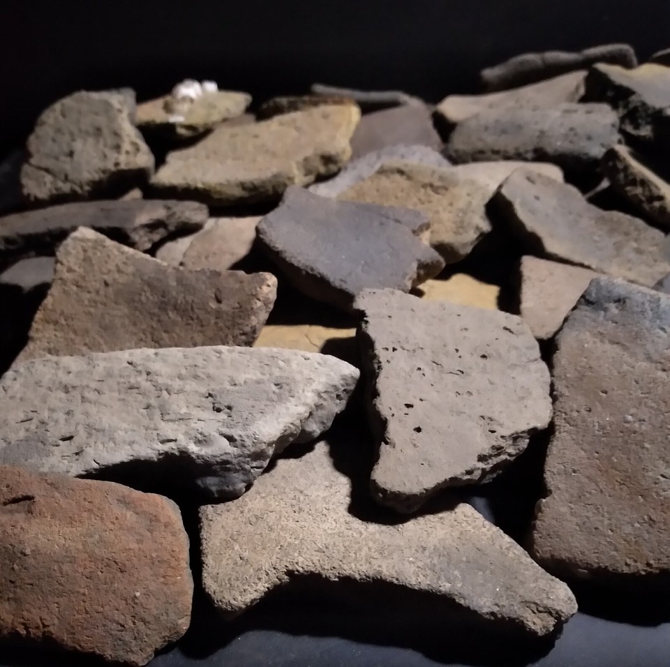 3+ lbs NW Florida Shell Tempered Potsherds AD 1000-1550 Native Indan ...