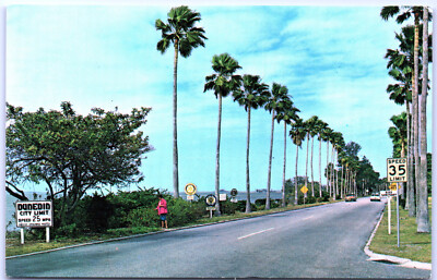 Postcard FL Edgewater Drive Street View Dunedin City Limit Sign Florida ...