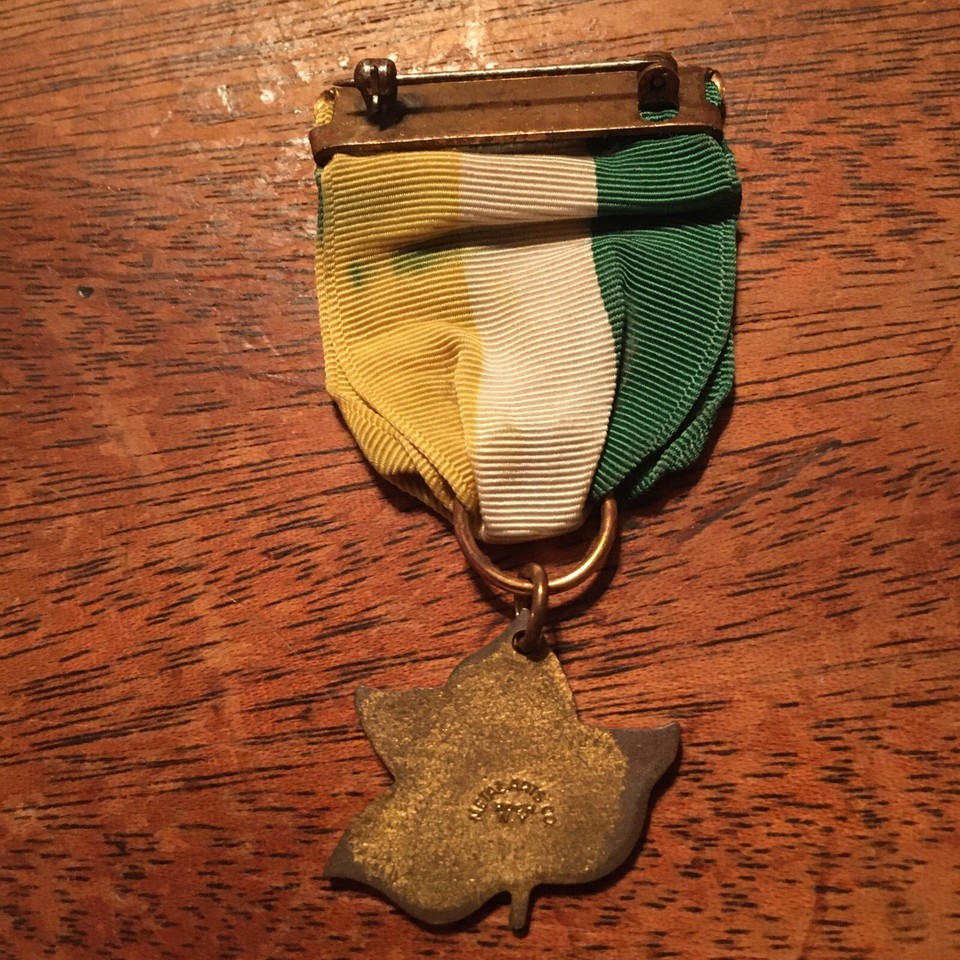 Boy Scout Tulip Tree Trace Trail Medal 1960s | eBay