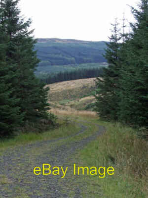 Photo 6x4 Forest Track Bran's Walls (Settlements) Track above White ...