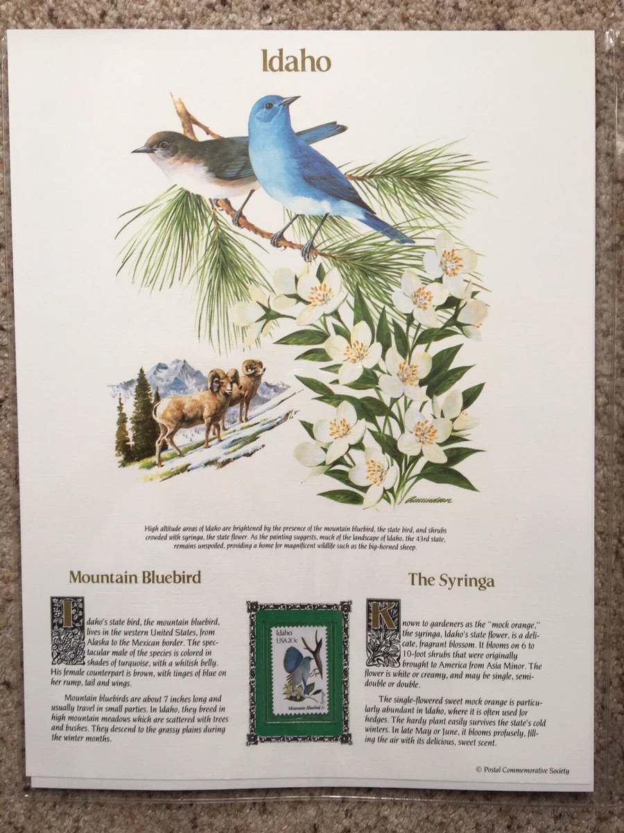 Idaho State Bird And Flower