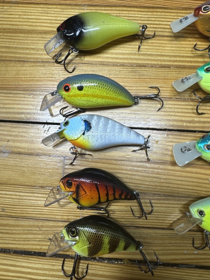 Bass Fishing square bill crankbaits lot 14 Lures + Box | eBay