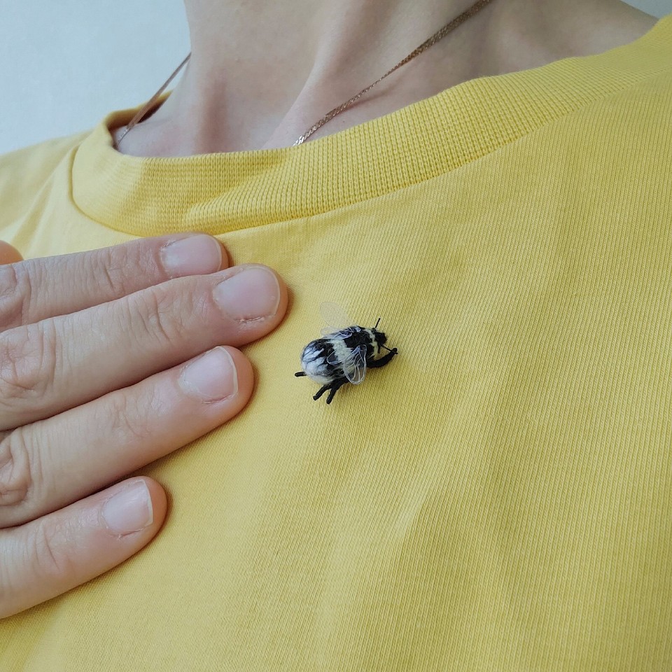 Flower micro bee. Dollhouse miniature Bumblebee. Doll pet. Microtoysby ...