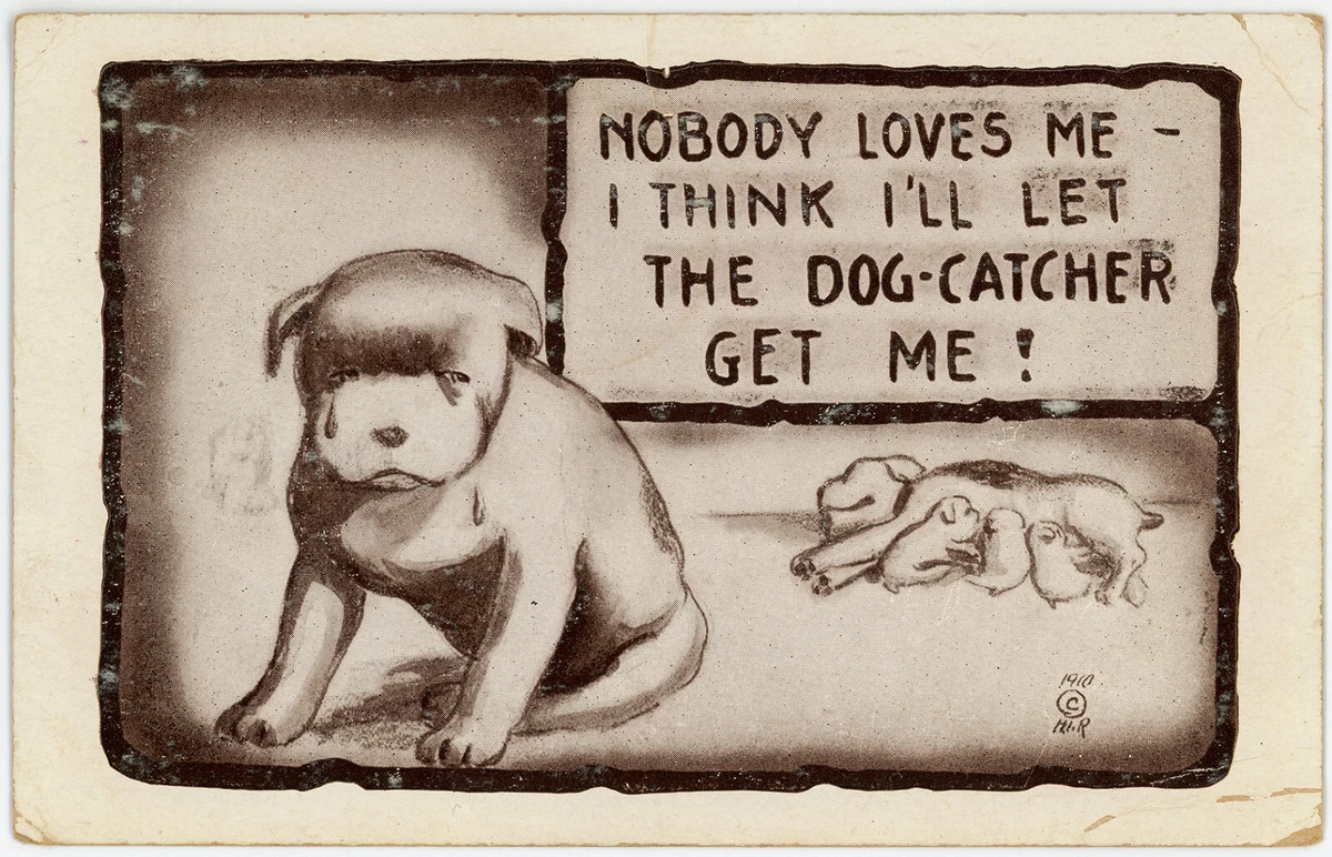 Nobody Loves Me Puppy