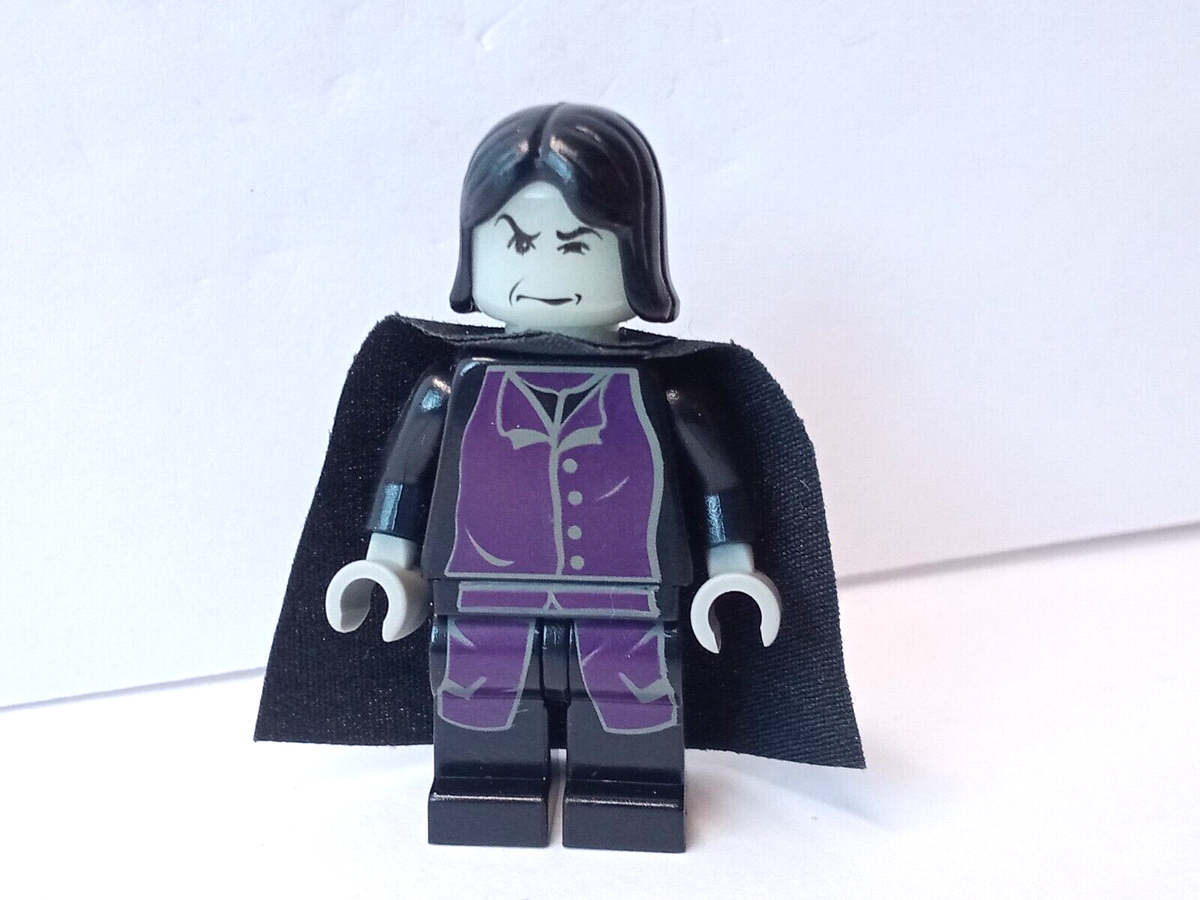 Lego Harry Potter Villains 76432 Lego Harry Potter Verboden Bos: