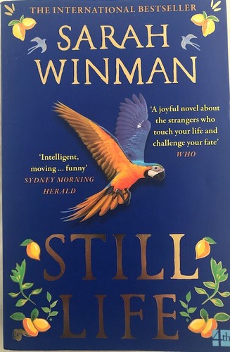Still Life by Sarah Winman Paperback Book International Best Seller ...
