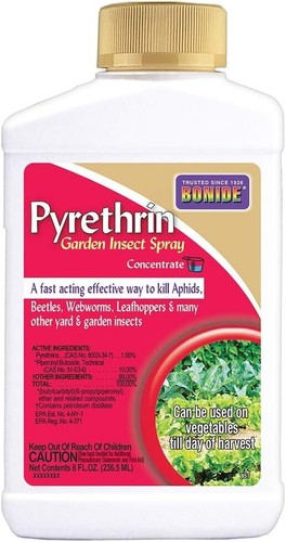 Pyrethrin Concentrate Garden and Insect Spray, Bonide Products, 8 ...