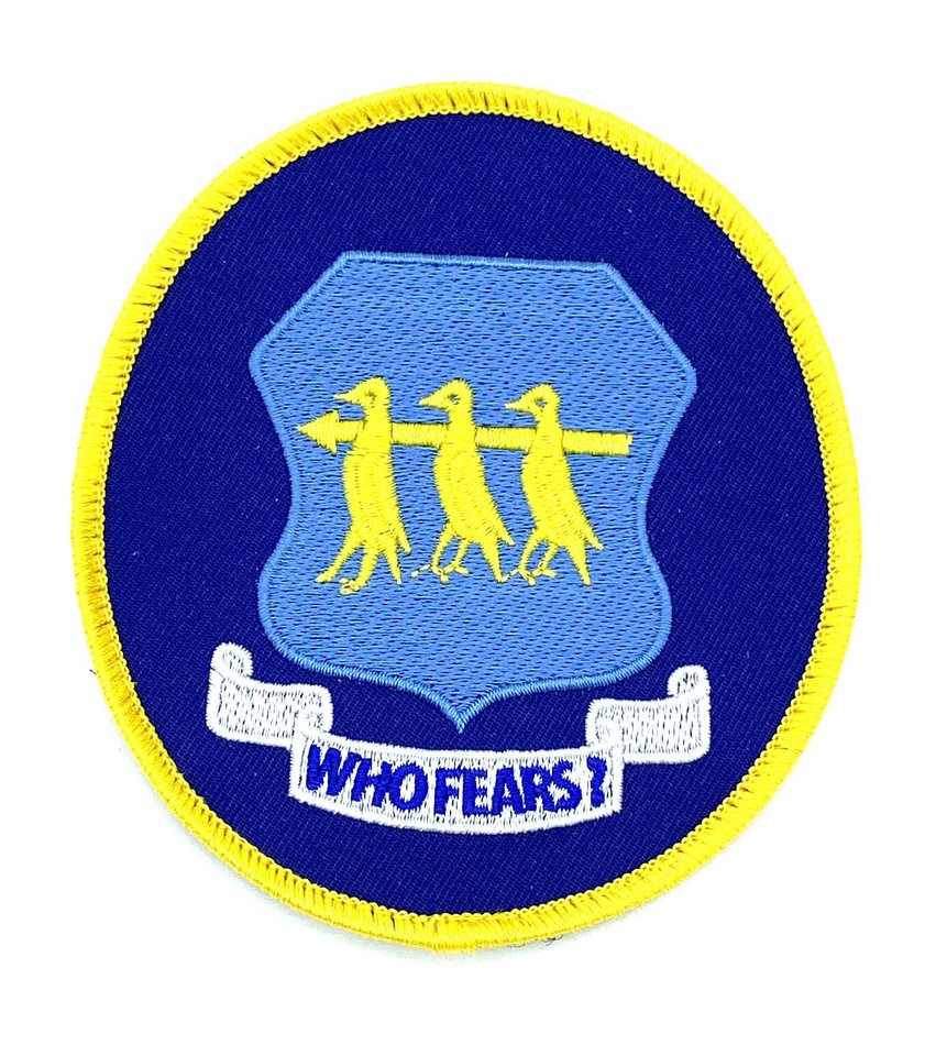 301st Bombardment Wing (Medium) Patch, 4 inch, Iron On | eBay