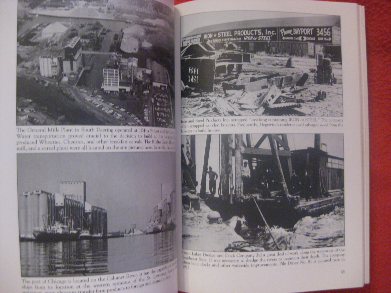 Chicago's Southeast Side by Rod Sellers and Dominic Pacyga (1998, Trade ...