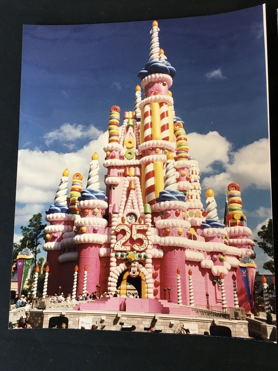 Cinderella Castle Cake 25th Anniversary