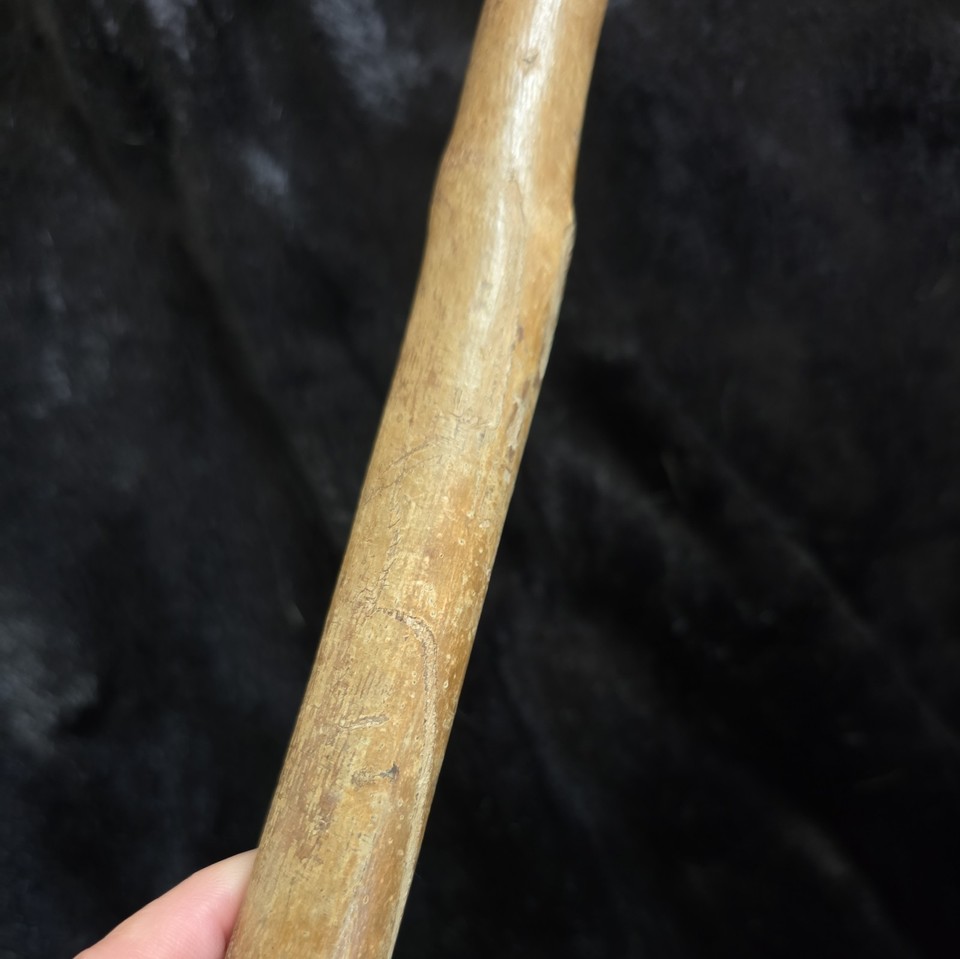 Vintage Knobbly Bamboo Walking Stick - Hand carved? | eBay UK