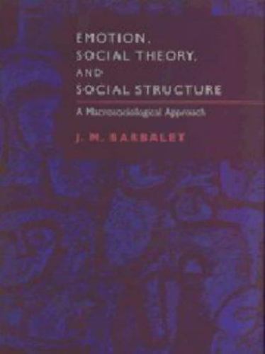 Emotion, Social Theory, and Social Structure: A Macrosociological ...