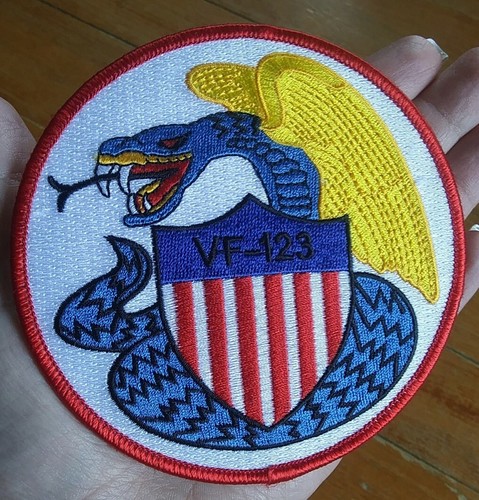 US Navy Fighter Squadron VF-123 BLUE RACERS USN Military Collectors ...