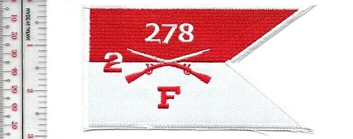 US Army 278th Armored Cavalry Regiment 2nd Bn F Co Tennessee ANG Patch ...