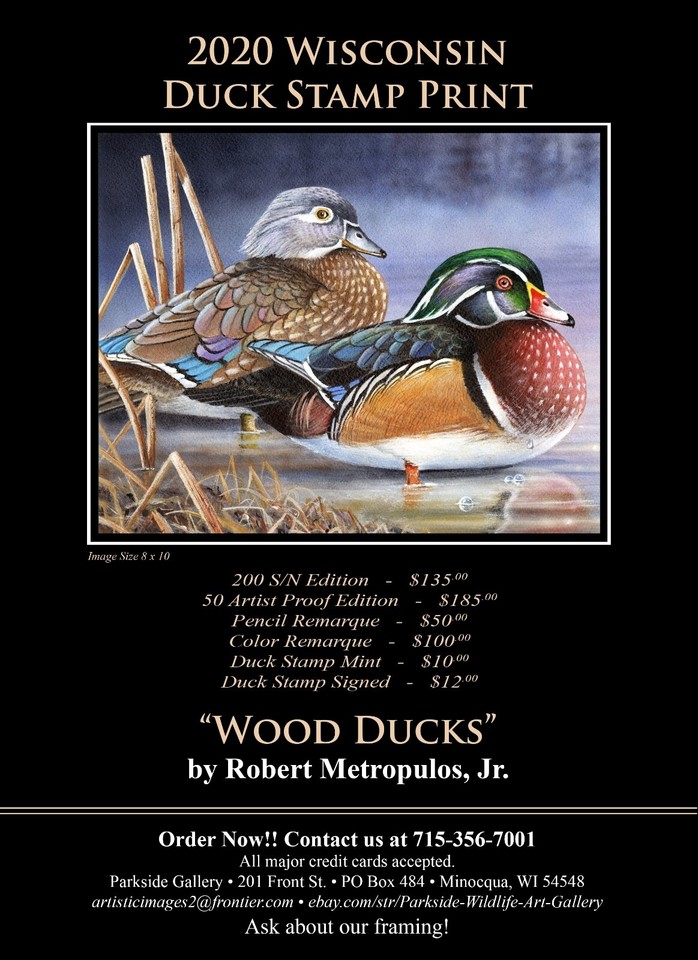 "Wood Ducks" 2020 Wisconsin Duck Stamp Winning Print | eBay