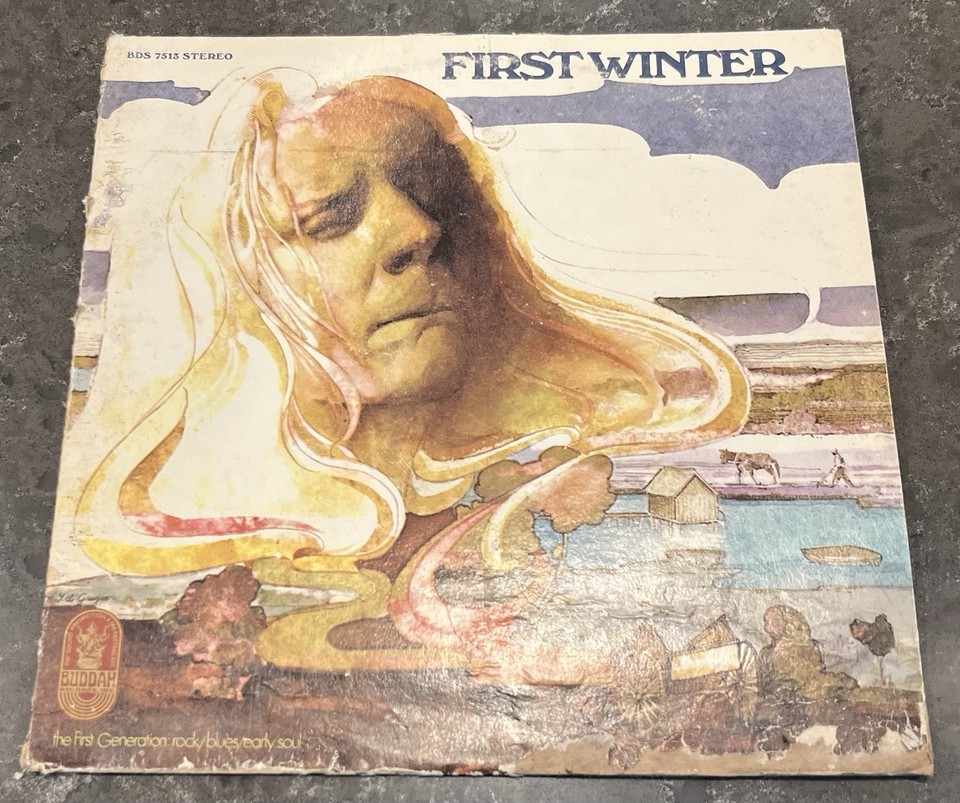 Vintage Vinyl Record Johnny Winter First Winter Rock and Roll, Hoochie ...