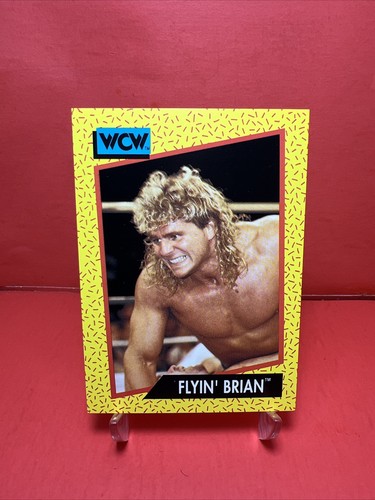 1991 Impel WCW Flyin' Brian #58 Rookie RC EX🦄 | eBay