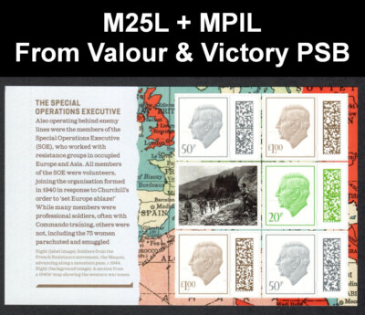 2025 VALOUR + VICTORY DEFINITIVES COMPLETE PANE from PSB CY10 Mint M25L + MPIL | eBay UK