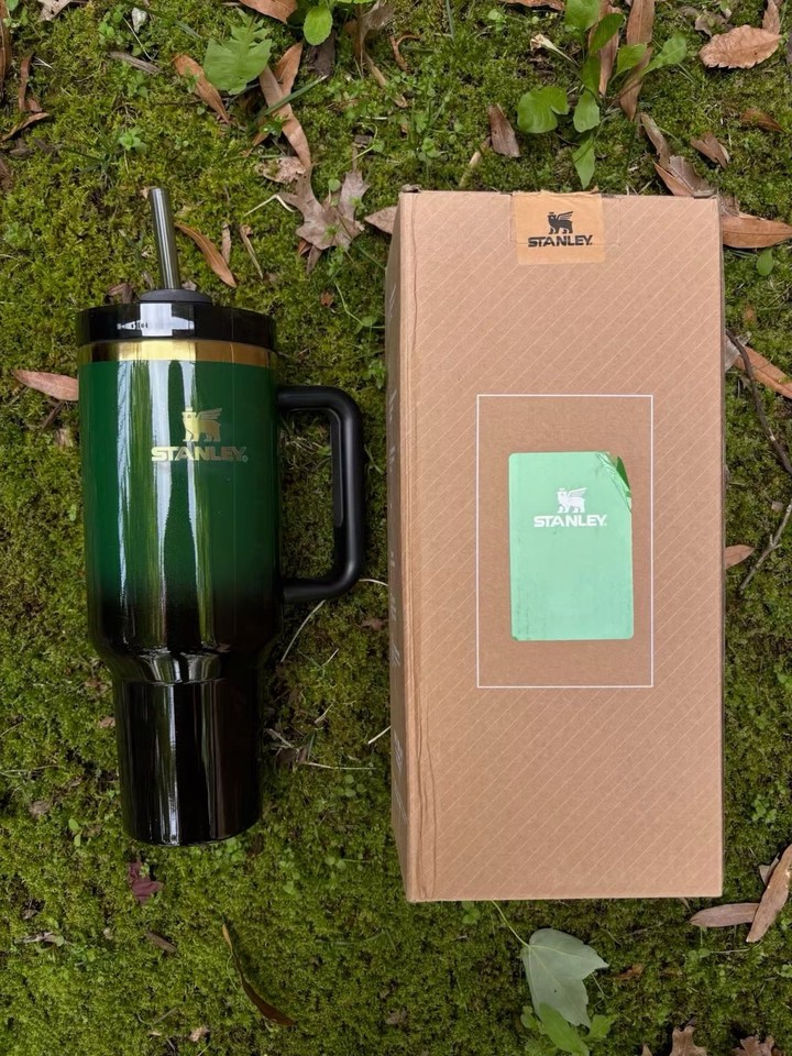 Stanley x Wicked 40oz FlowState Tumbler Cup Elphaba Target Green | eBay