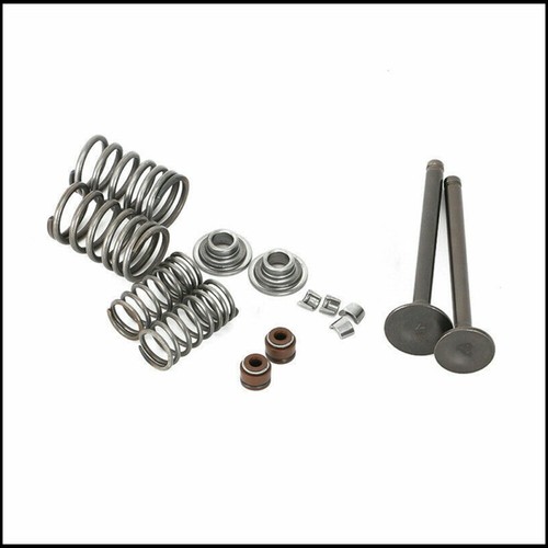 Intake Exhaust Valves Springs Clips Seals Set New Metal Valve Rebuild ...