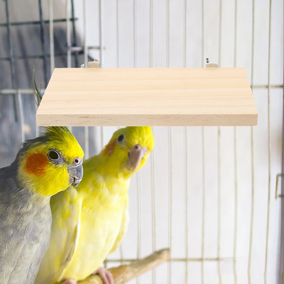 2 Count Cockatiel Toys Station Parrot Cage Accessory Bird Stands Play ...