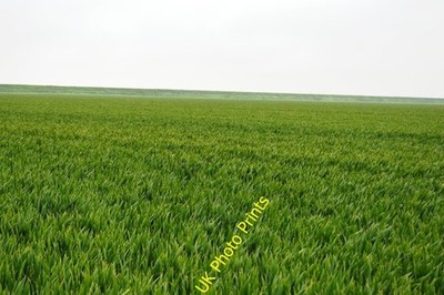 Photo 6x4 Scots pine woodland, Strathmashie Forest Feagour Most of the ...