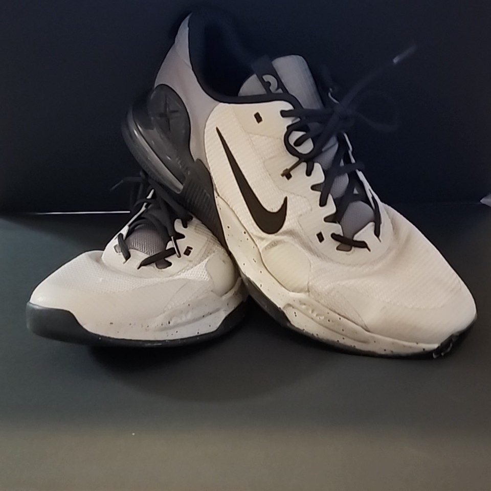 Nike Men Size 14 EU 48.5 Air Max Alpha Trainer 5 DM0829-013 Light Iron ...