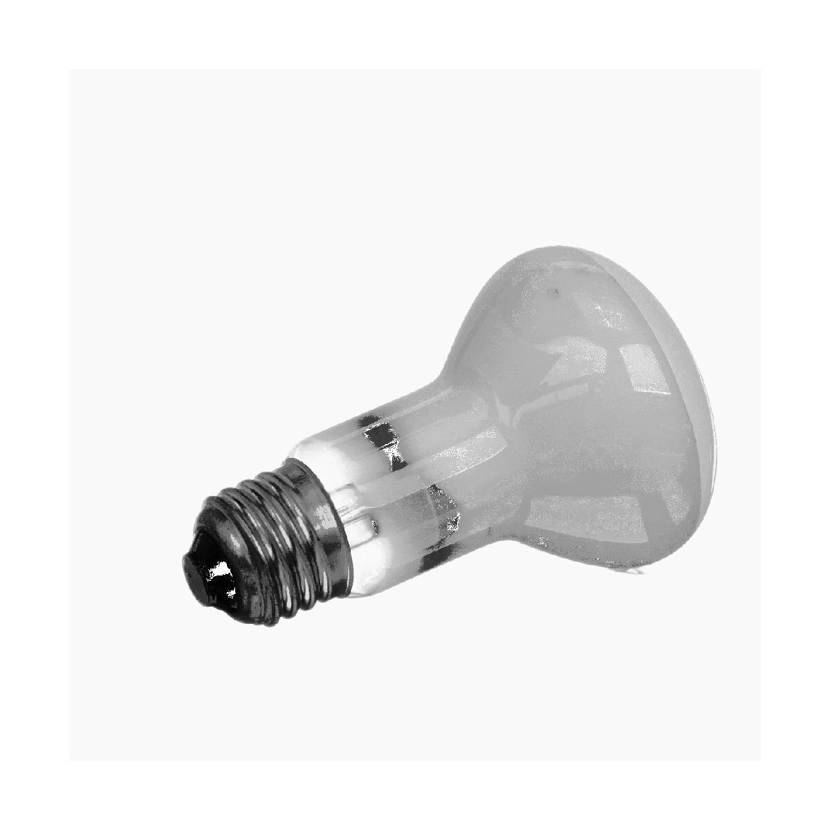 Paragon 512161 Replacement Heat Lamp Light Bulb Popcorn Machine for ...