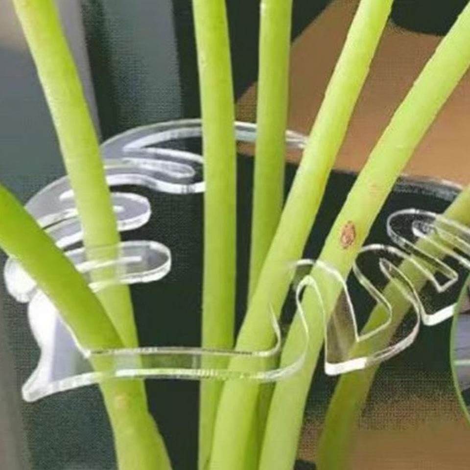 Turtle Bamboo Clamp Set, Plant Stem Plastic Support,Flower-Shaped ...