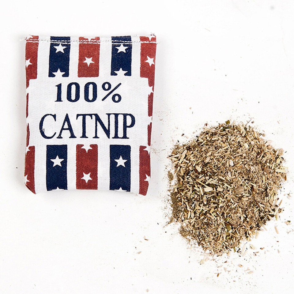 3pcs Catnip Sack Grab Toy Cat Nip Toys for Cat Playing Random Style | eBay