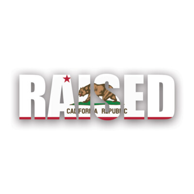 California Raised State Flag Sticker Decal - Weatherproof - native ...