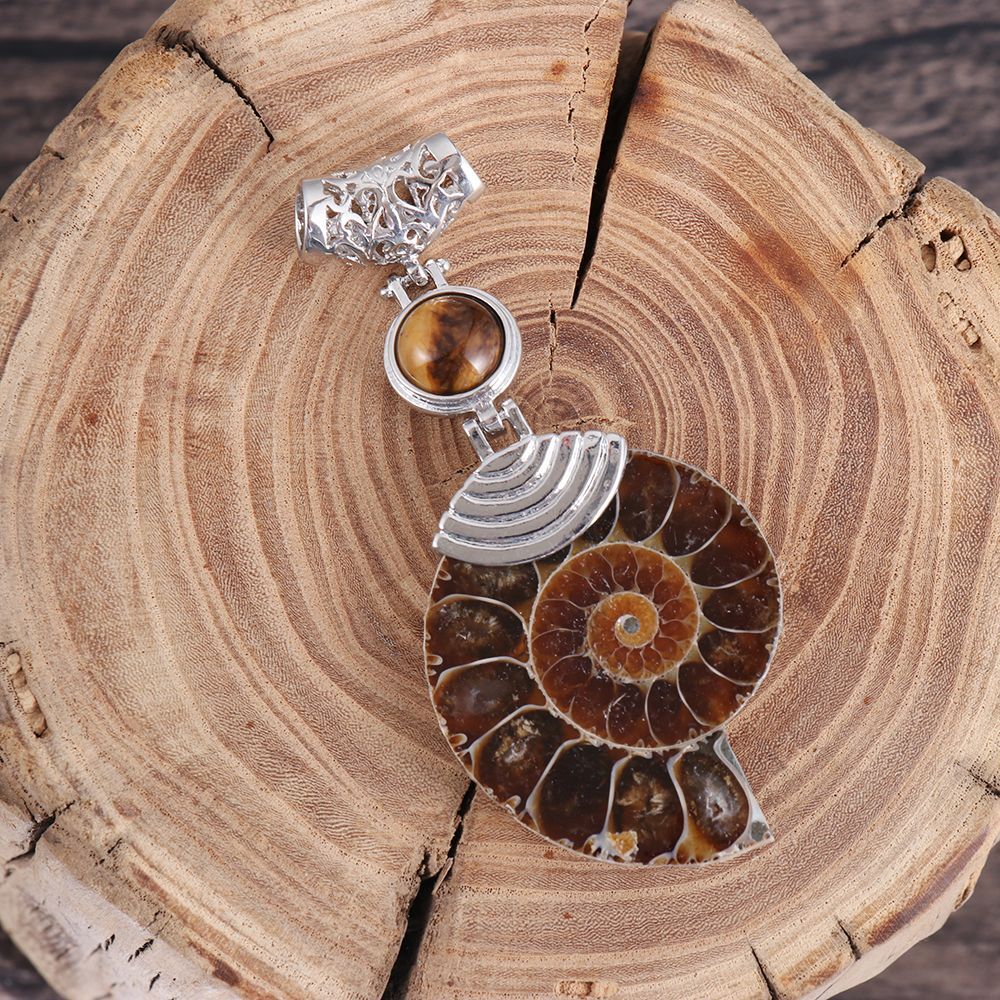 Stone Beads Cabochon Conch Shell Stone Pendant Ammonite Fossil Stone ...