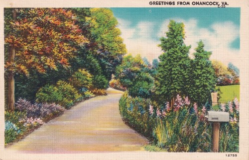 Vintage Linen Postcard - Greetings From Onancock Virginia Posted 1953 ...