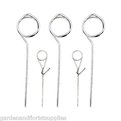 Provision Pins / Food Label Holder Small(5.5cm) or Large(9.5cm) 25/50 ...