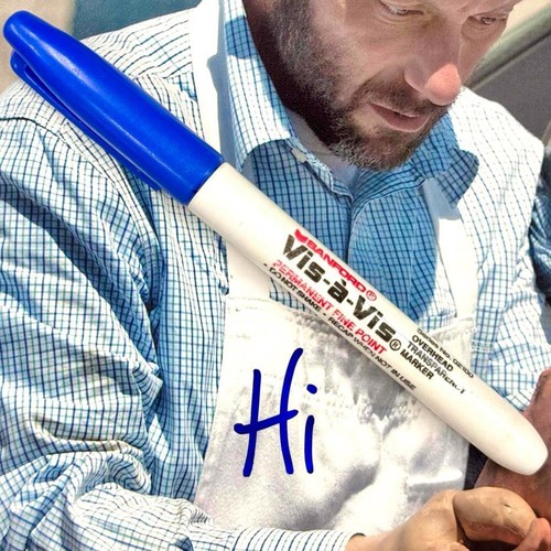 lightly used Vis A Vis blue permanent fine point Sharpie Marker pen ...