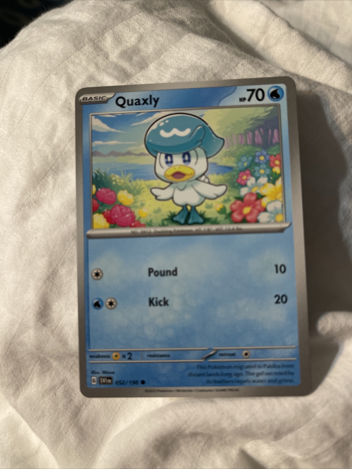Pokemon Scarlet & Violet Quaxly - 052/198 - PALDEA COLLECTION | eBay