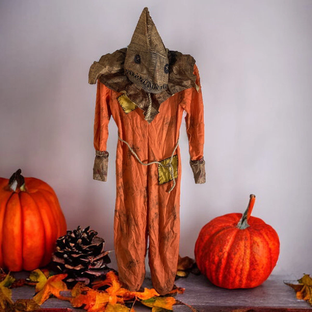 Sam Trick R Treat Costume