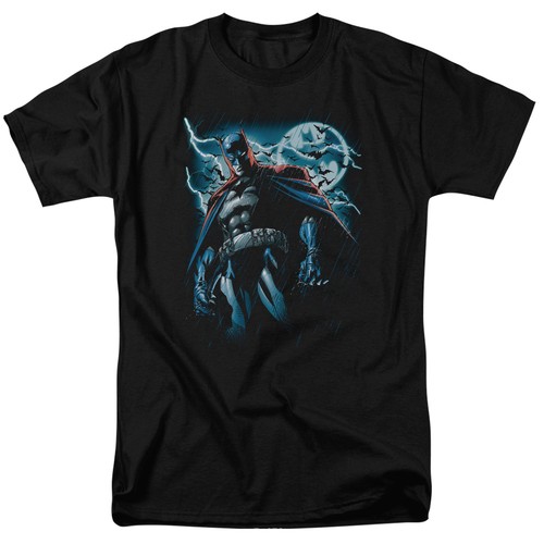 T-Shirt Licencié Batman Stormy Knight DC Comics Pour Adultes | eBay