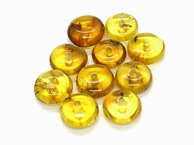 AMBER Insects 10 Tablet Baltic Beads DRILLED For Bracelet Necklace ...