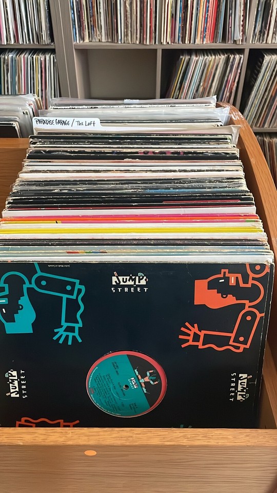 Vintage Record Store Vinyl LP Record display Bin Holds 1360 - 1400 ...