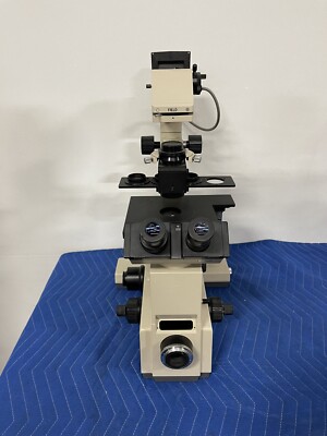 Microscopes - Inverted Phase Contrast Microscope
