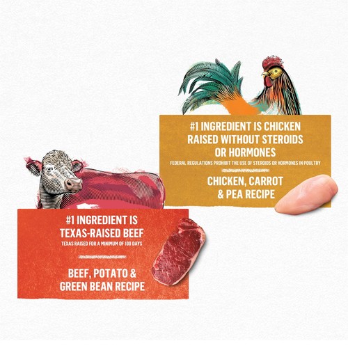 Purina Beyond Wet Dog Food, Grain-Free, 9.75 Lb Cans (12 Pack) Natural ...