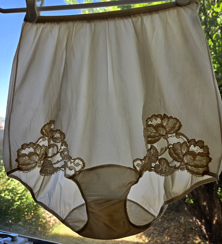 Vintage Vanity Fair Brief Very Rare w/Lace inserts sz 6 | eBay