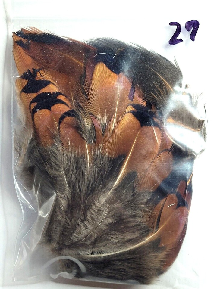 PHEASANT TAIL FEATHERS - U PICK - Various Feather Packs - Fly Tying ...