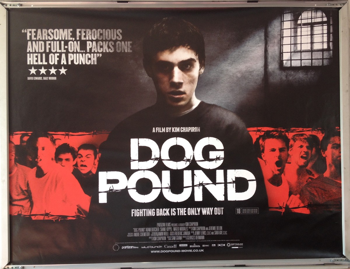 Entretien Avec Adam Butcher Dog Found Adam Butcher Director,