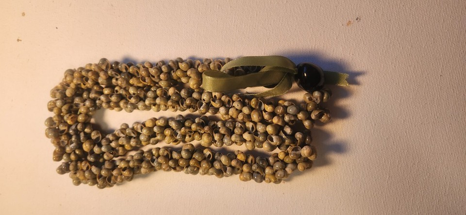 Hawaii Wedding Mongo Shell with Kukui Nut Lei Necklace | eBay