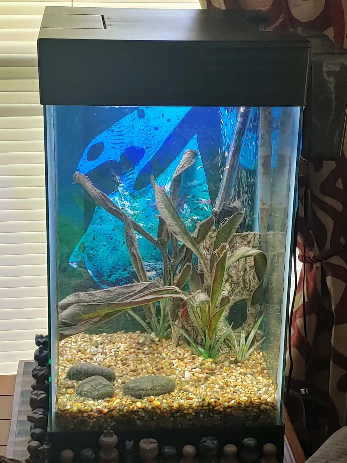 AQUEON AQUARIUM STARTER KIT 15 GALLON COLUMN see description for extras ...