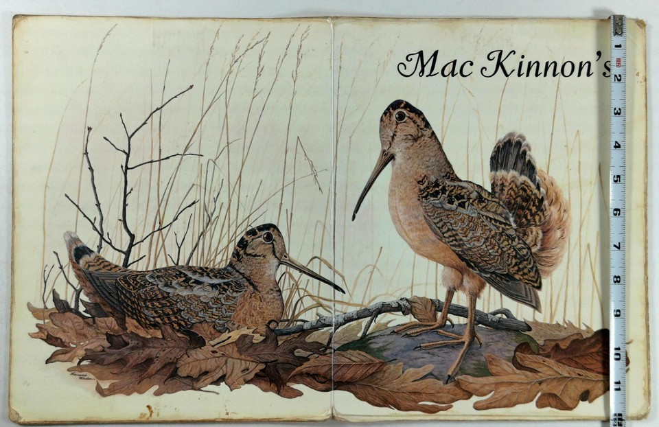 1980's Original Menu MAC KINNON'S Restaurant Northville Michigan | eBay