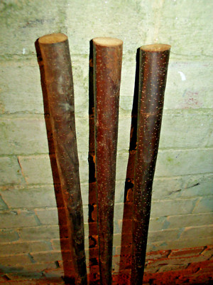 3 Chestnut Shanks Stick making Walking Stick Shafts Blanks Bark ...